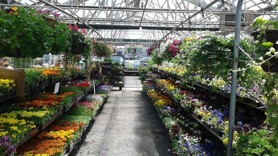 Garden Center - Otten Bros. Garden Center Long Lake, MN