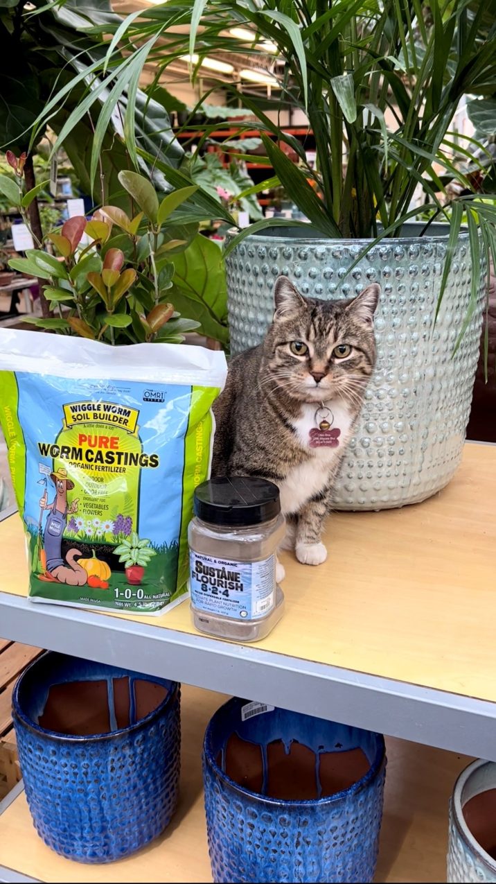 Fertilizing Houseplants | Otten Bros. | Garden Center & Landscaping ...